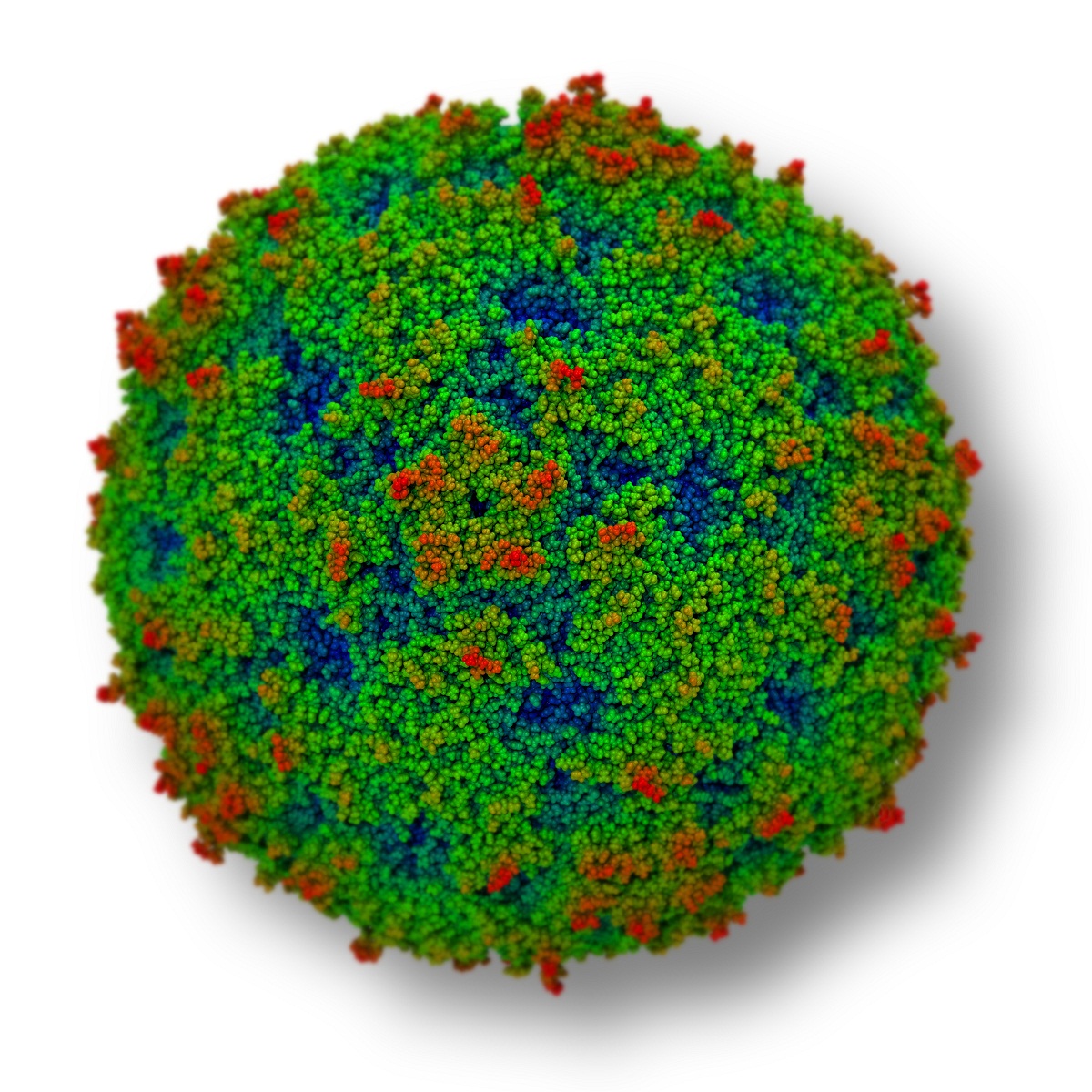 Health officials alerted as five struck down, paralysed by emerging ...