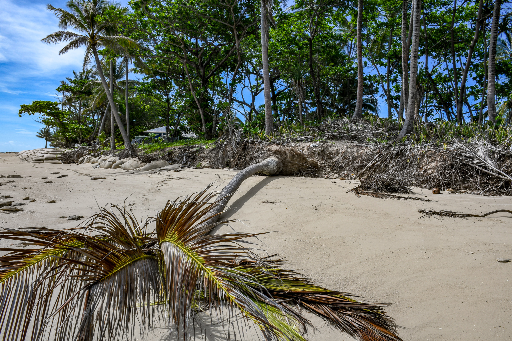 'It’s our right to be here': the Torres Strait Islanders fighting to ...