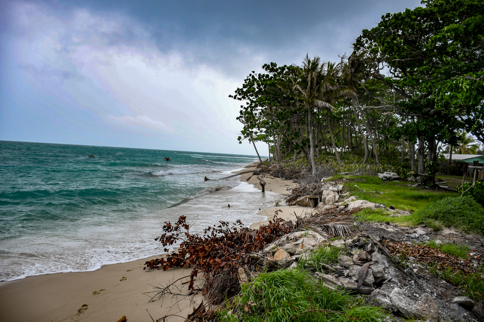 'It’s our right to be here': the Torres Strait Islanders fighting to ...