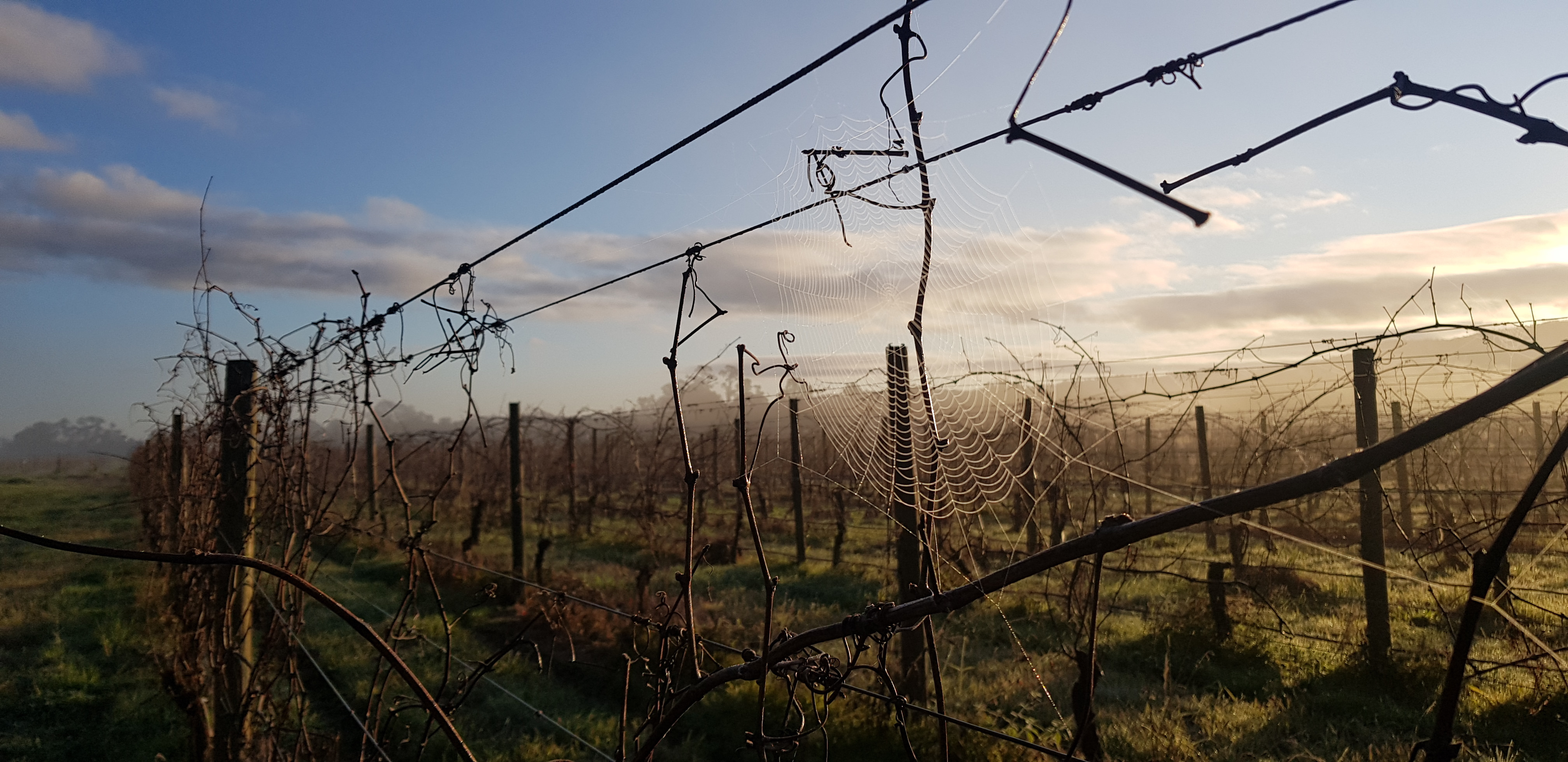 At Lang Lang, a glimpse into the future challenges of rising seas –The ...