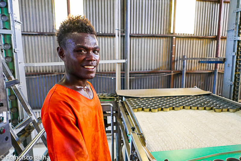 Battle on the high seas for Pacific tuna, on the move as oceans warm ...