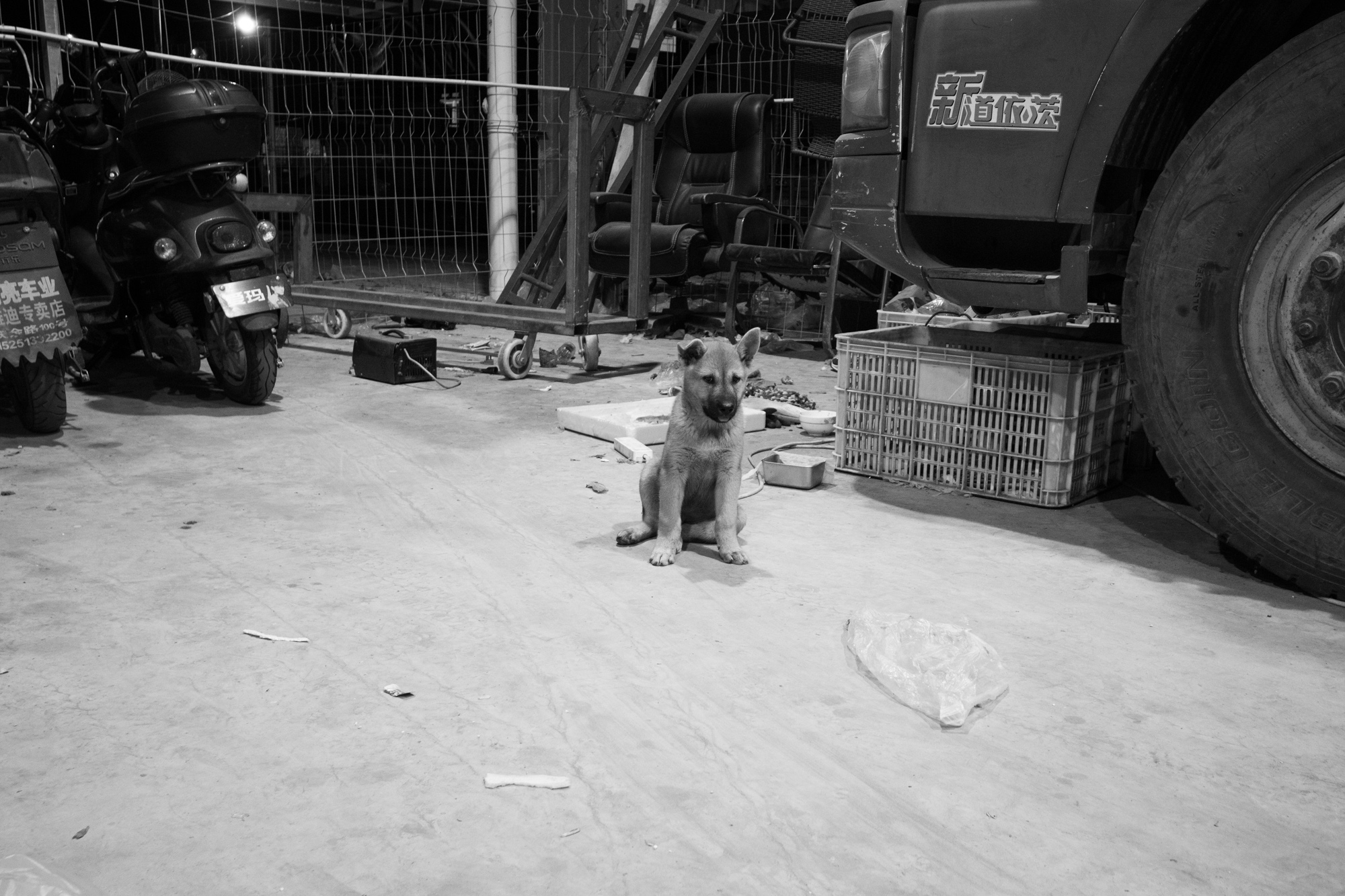 The life of a 'wet market' worker –The Citizen