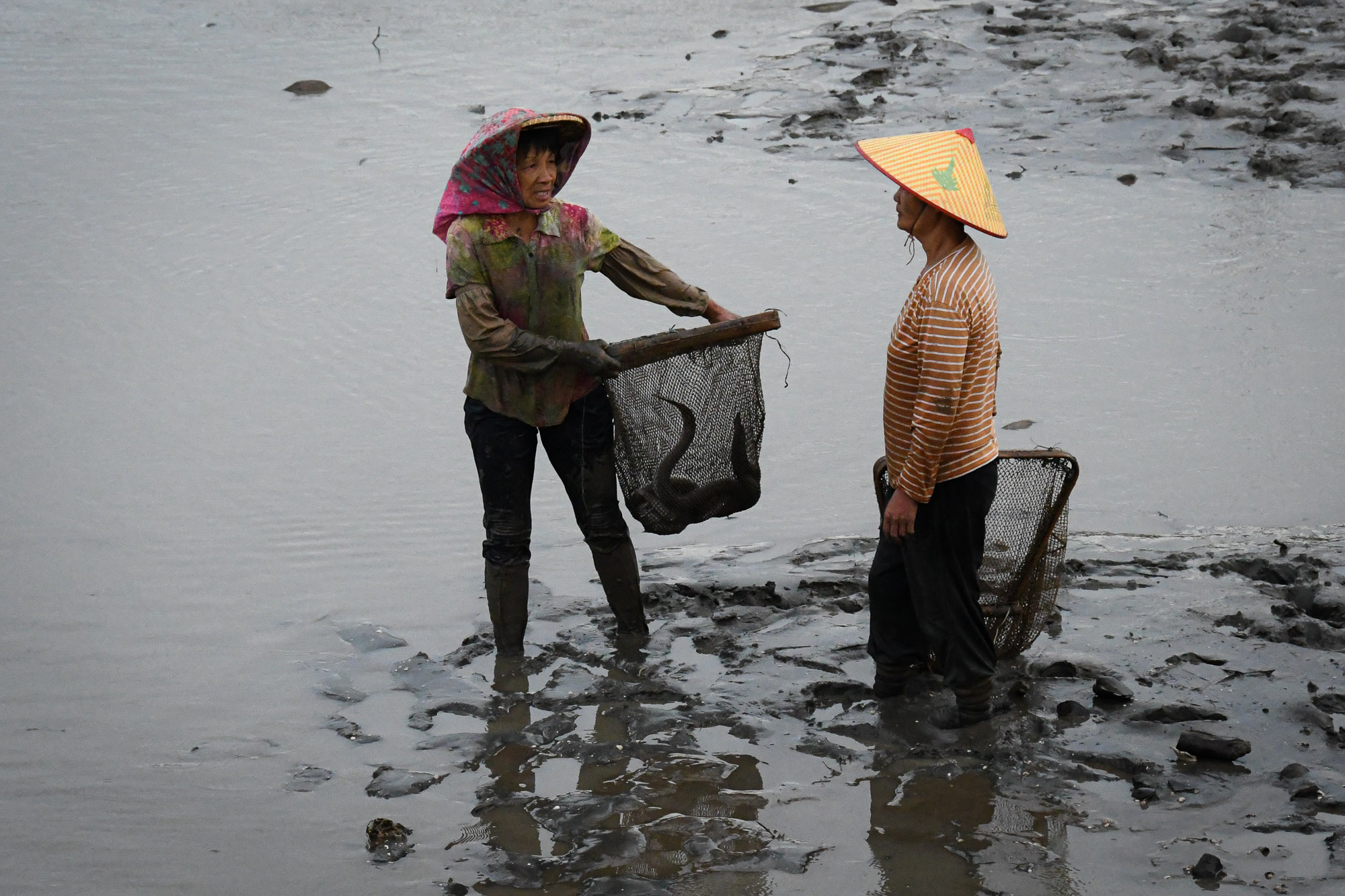 Rural revitalisation and China's eel industry –The Citizen
