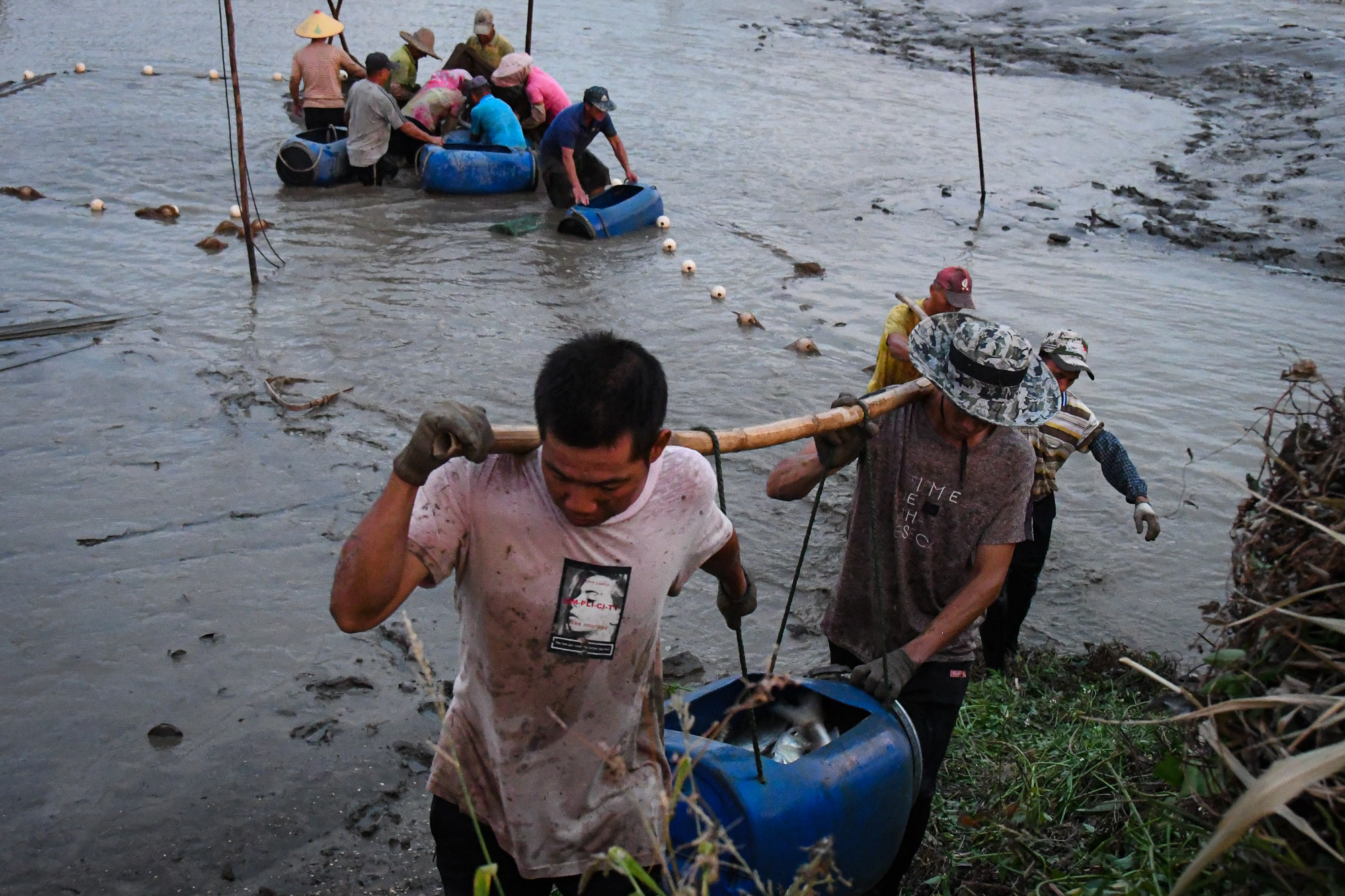 Rural revitalisation and China's eel industry –The Citizen