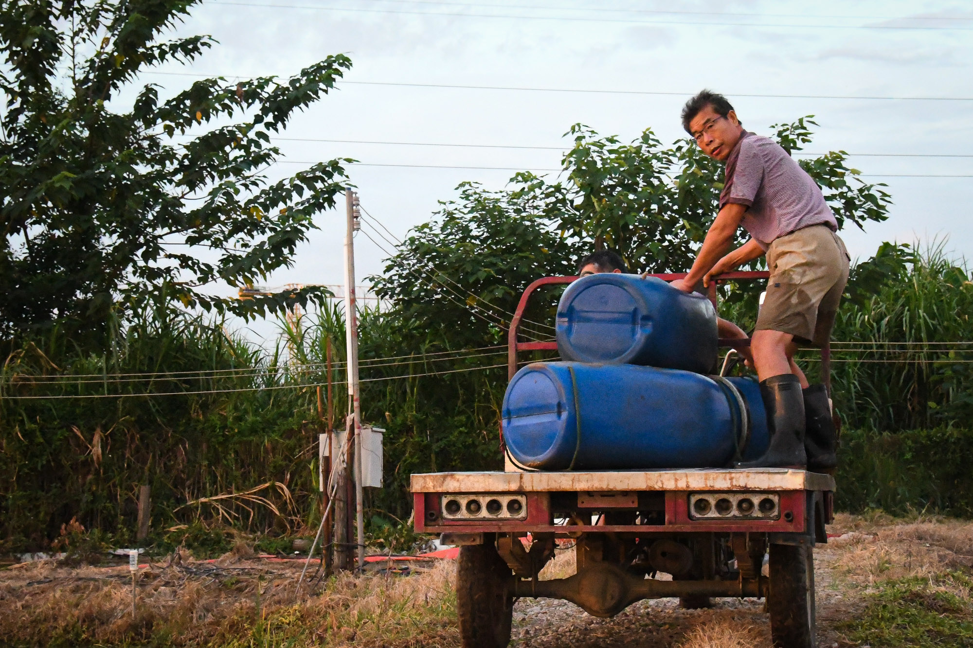 Rural revitalisation and China's eel industry – The Citizen