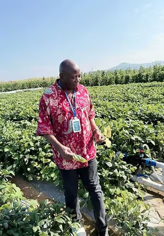 Rising carbon dioxide in the atmosphere threatening crop nutrition and ...
