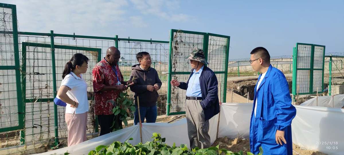Rising carbon dioxide in the atmosphere threatening crop nutrition and ...