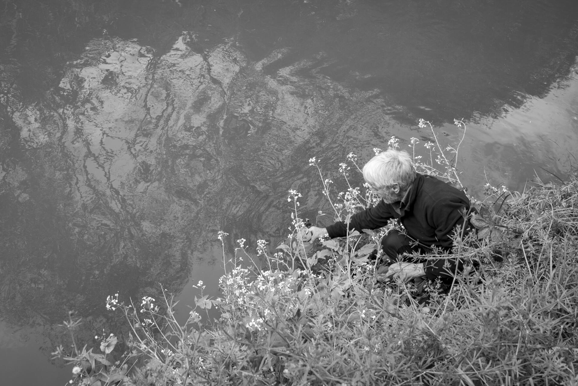 Labour of love: Meet the community reviving and restoring Merri Creek ...