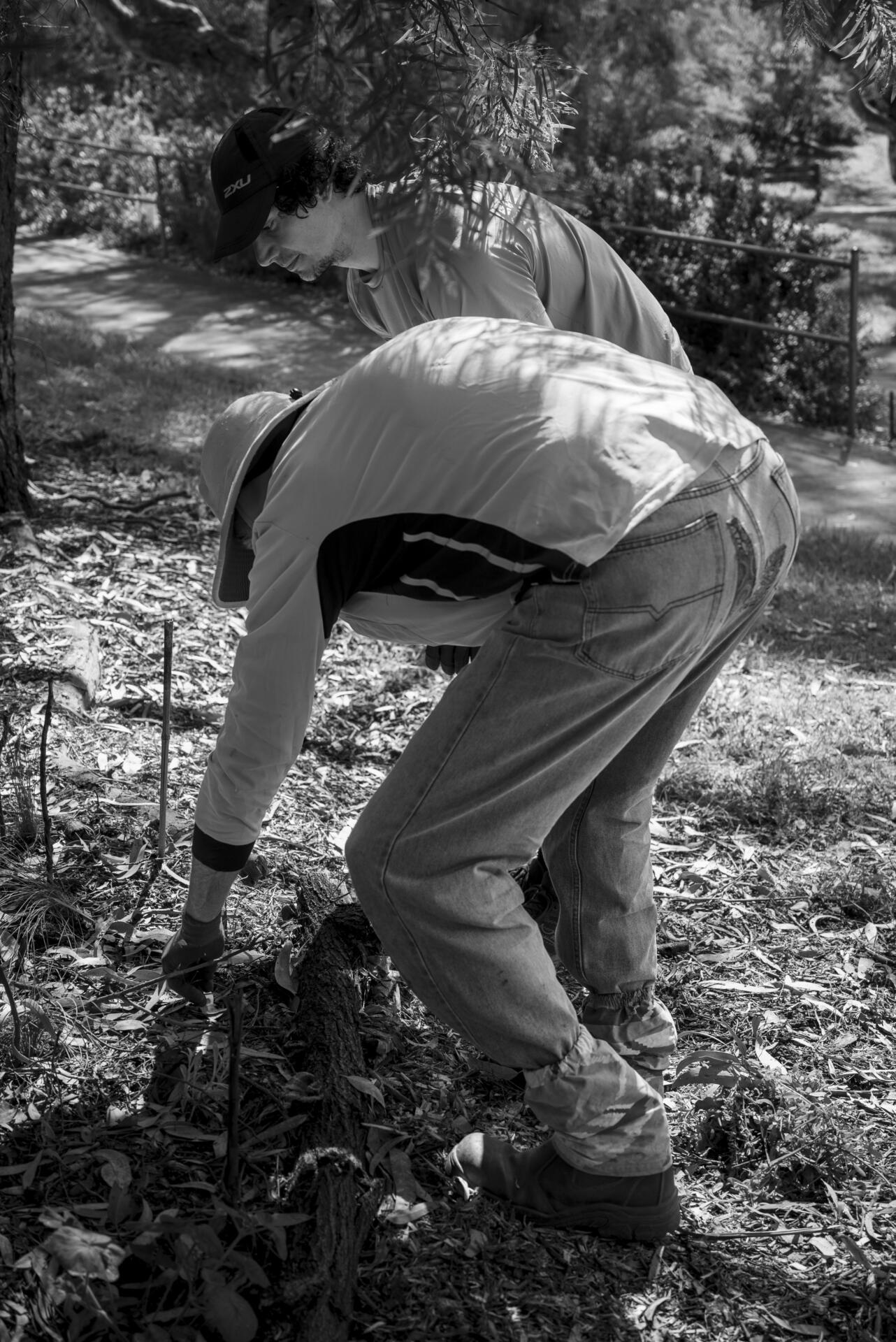 Labour of love: Meet the community reviving and restoring Merri Creek ...