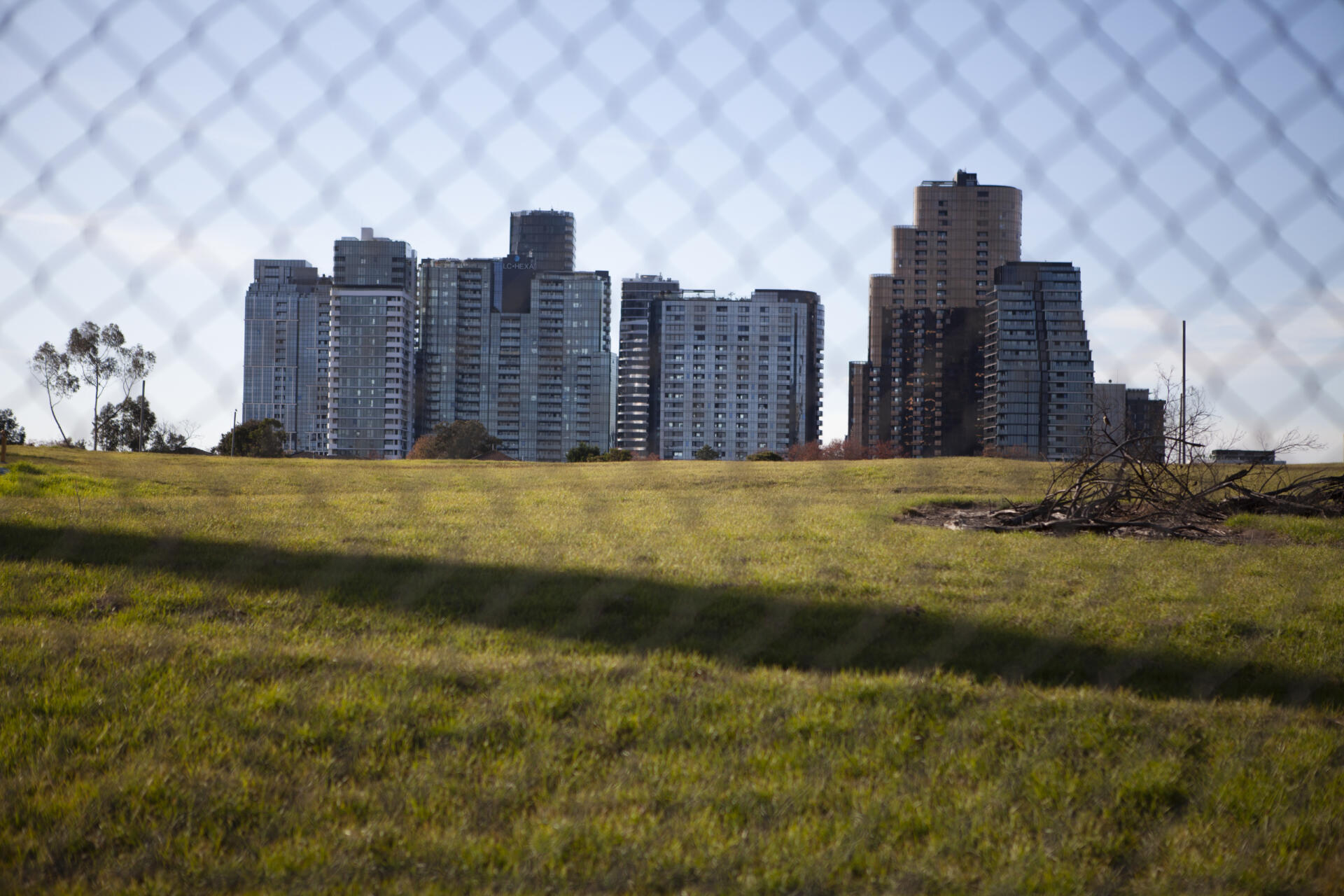 Green or grey? The fight for Box Hill’s last open land – The Citizen