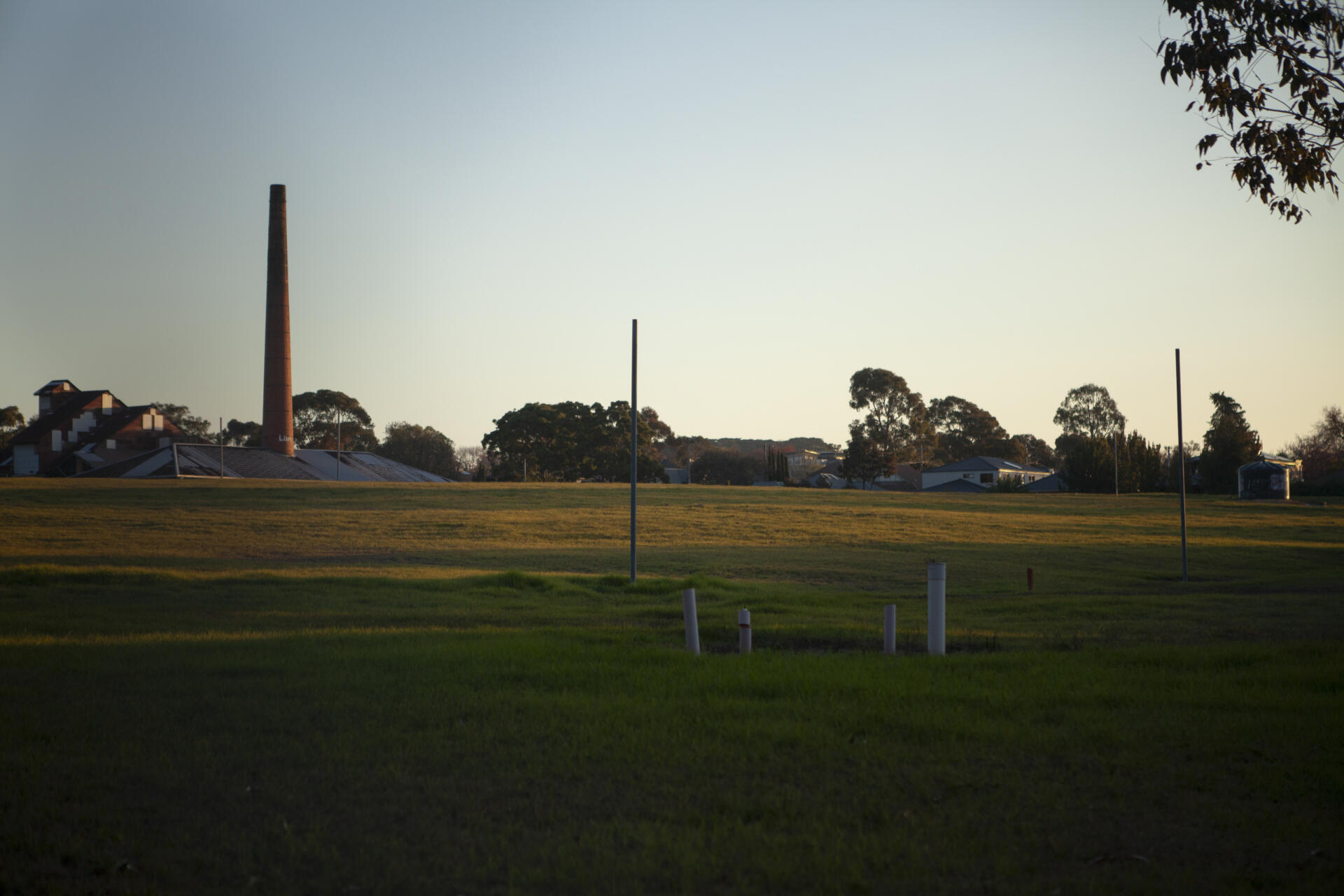 Green or grey? The fight for Box Hill’s last open land – The Citizen