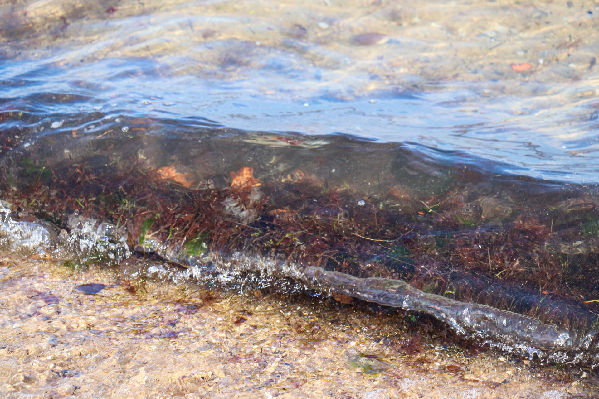 Winter pause in St Kilda Beach water monitoring leaves users uncertain ...