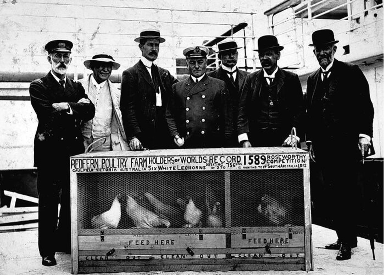 Pecking order: The plucky story of Victoria's first Chief Poultry ...